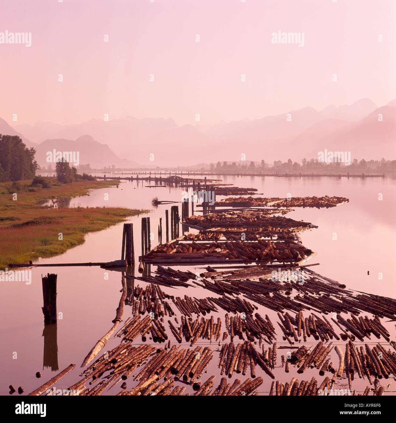 Logging views hi-res stock photography and images - Alamy