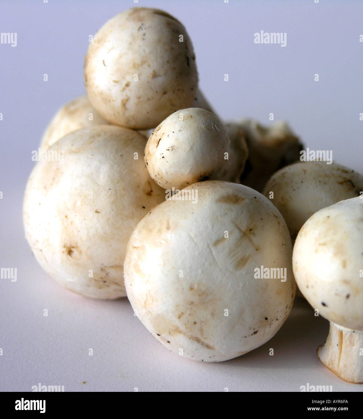 Smaller mushrooms hi-res stock photography and images - Alamy