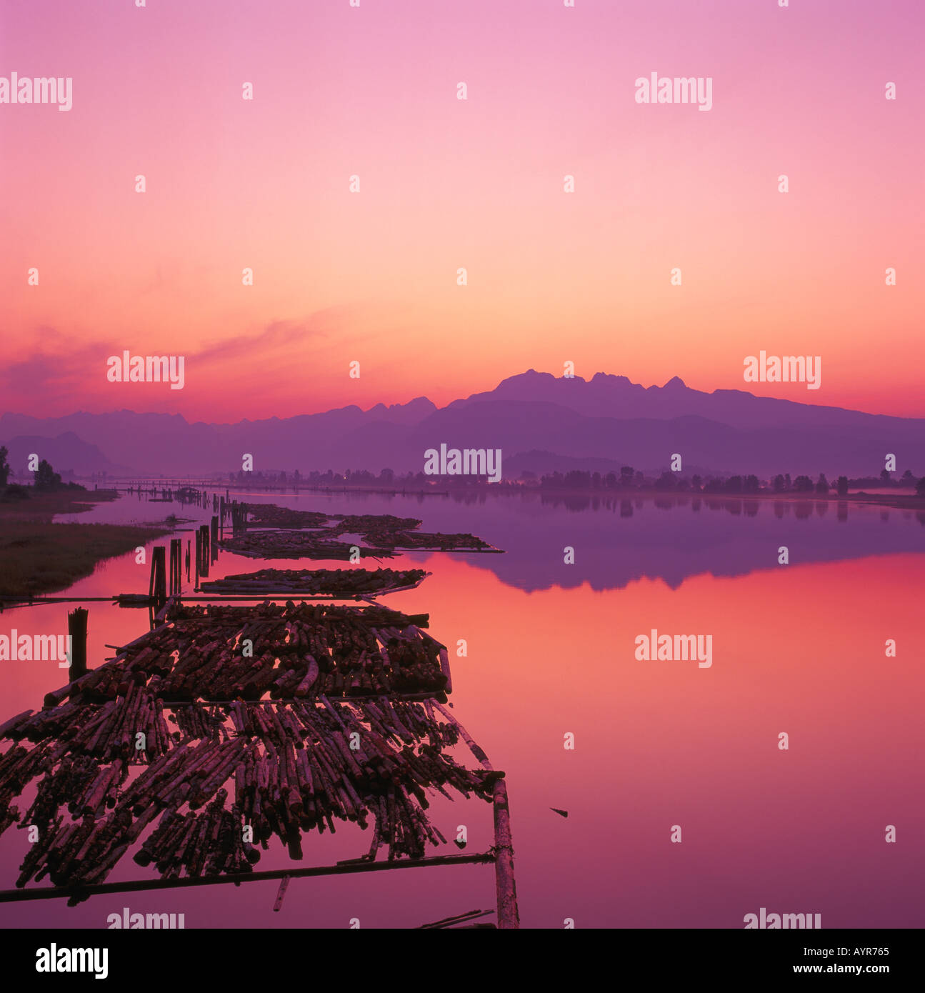 Log booms on the fraser river hi-res stock photography and images - Alamy