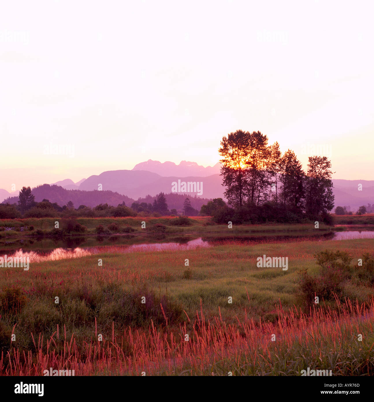 Fraser Valley near Pitt Meadows, BC British Columbia, Canada - Alouette ...