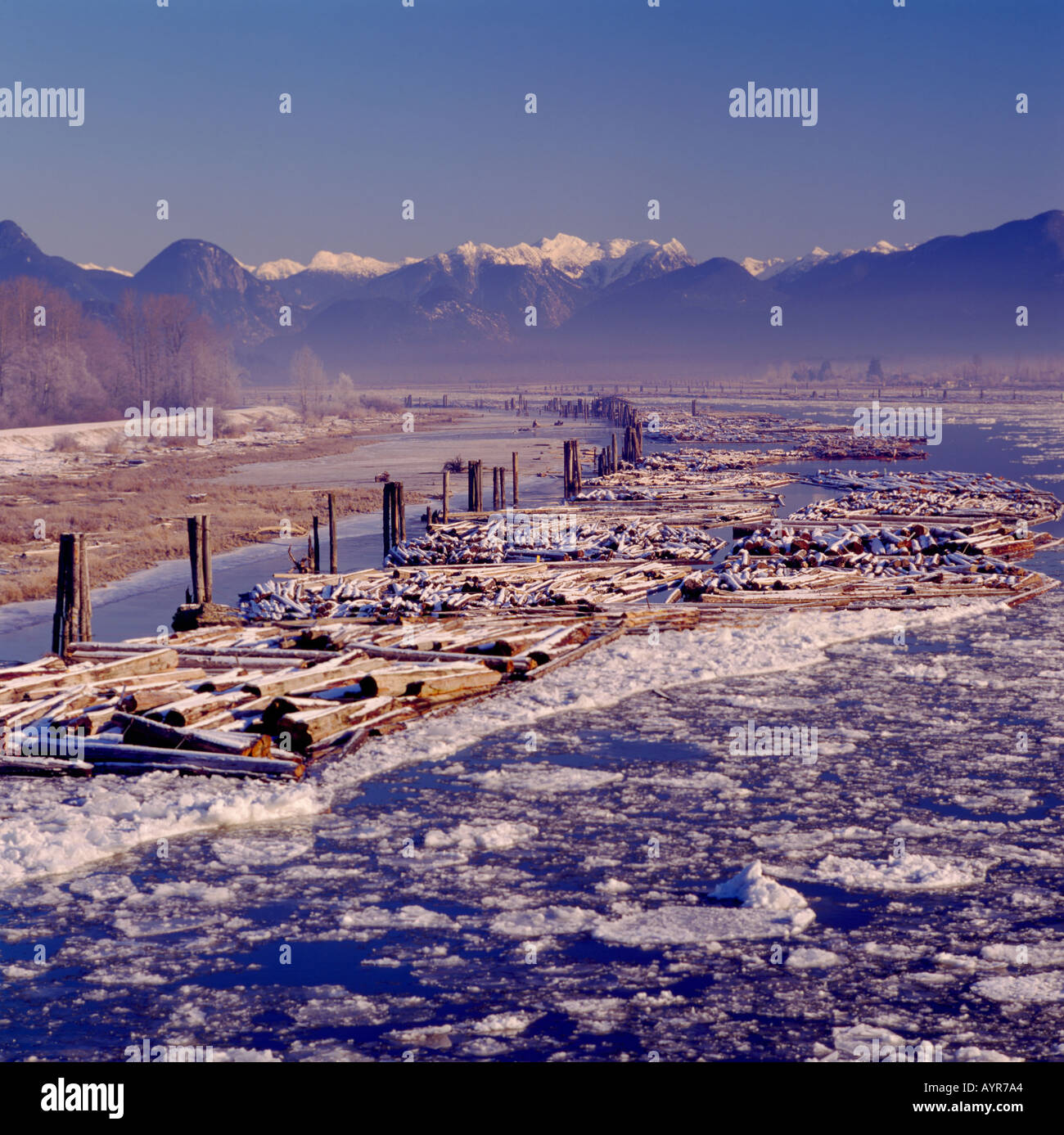 Log booms on the fraser river hi-res stock photography and images - Alamy