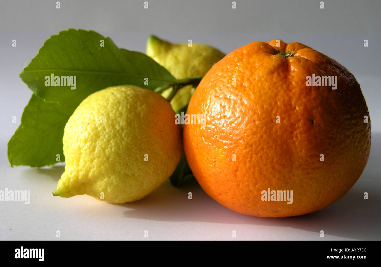 Ligh orange hi-res stock photography and images - Alamy