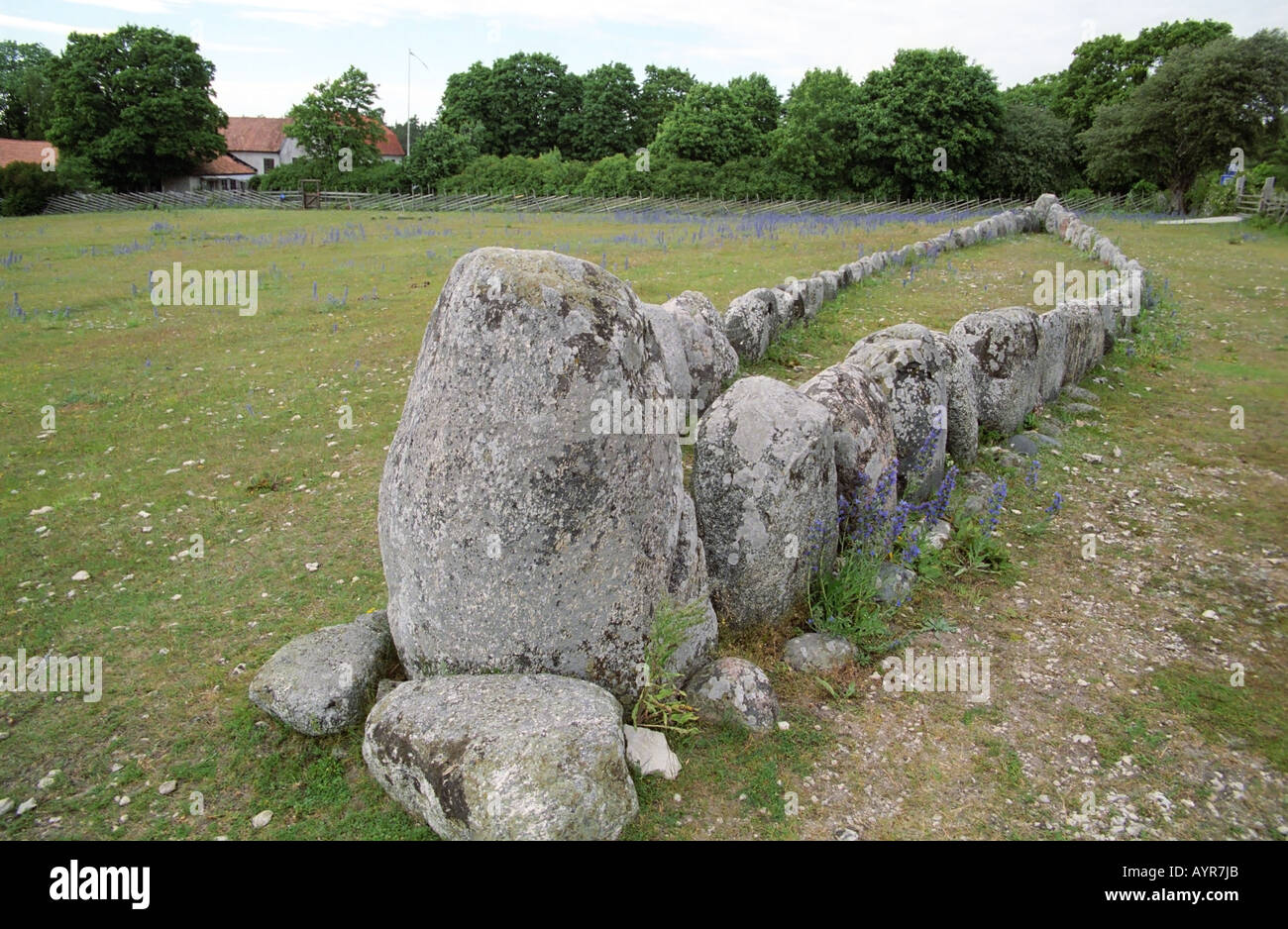 Viking stone gotland hi-res stock photography and images - Alamy