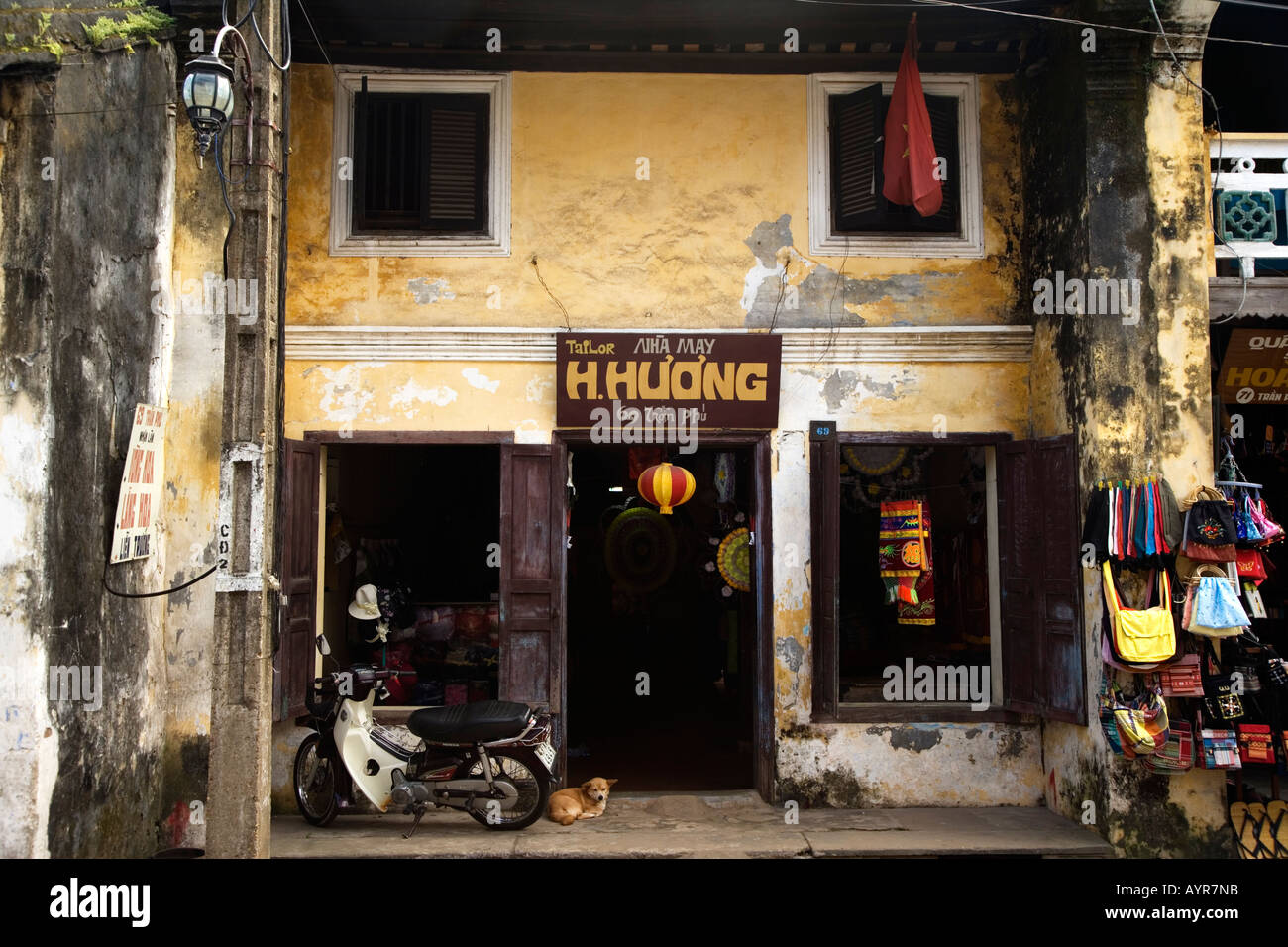 Dog, motorbike, and storefront, Hoi An, Vietnam Stock Photo - Alamy