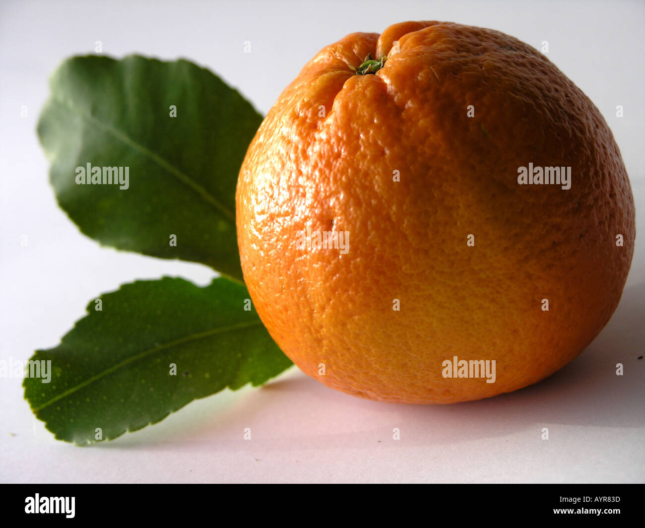 Single Orange with green leaves Stock Photo - Alamy