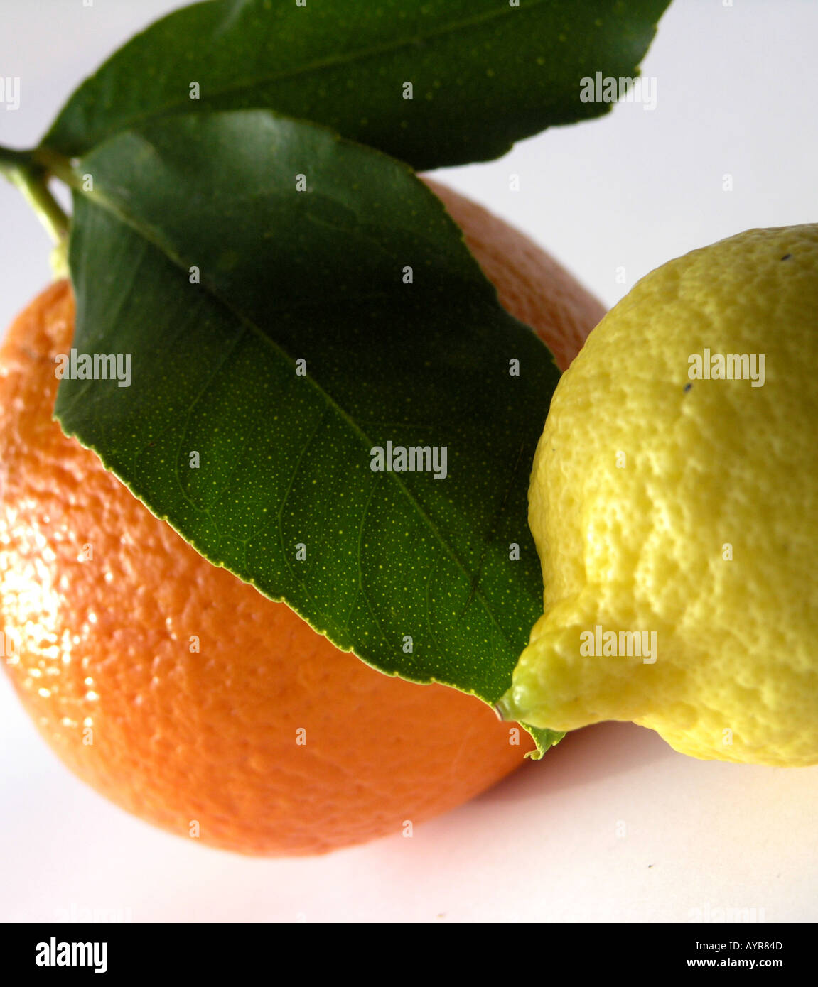 One Orange and one Lemon Stock Photo - Alamy