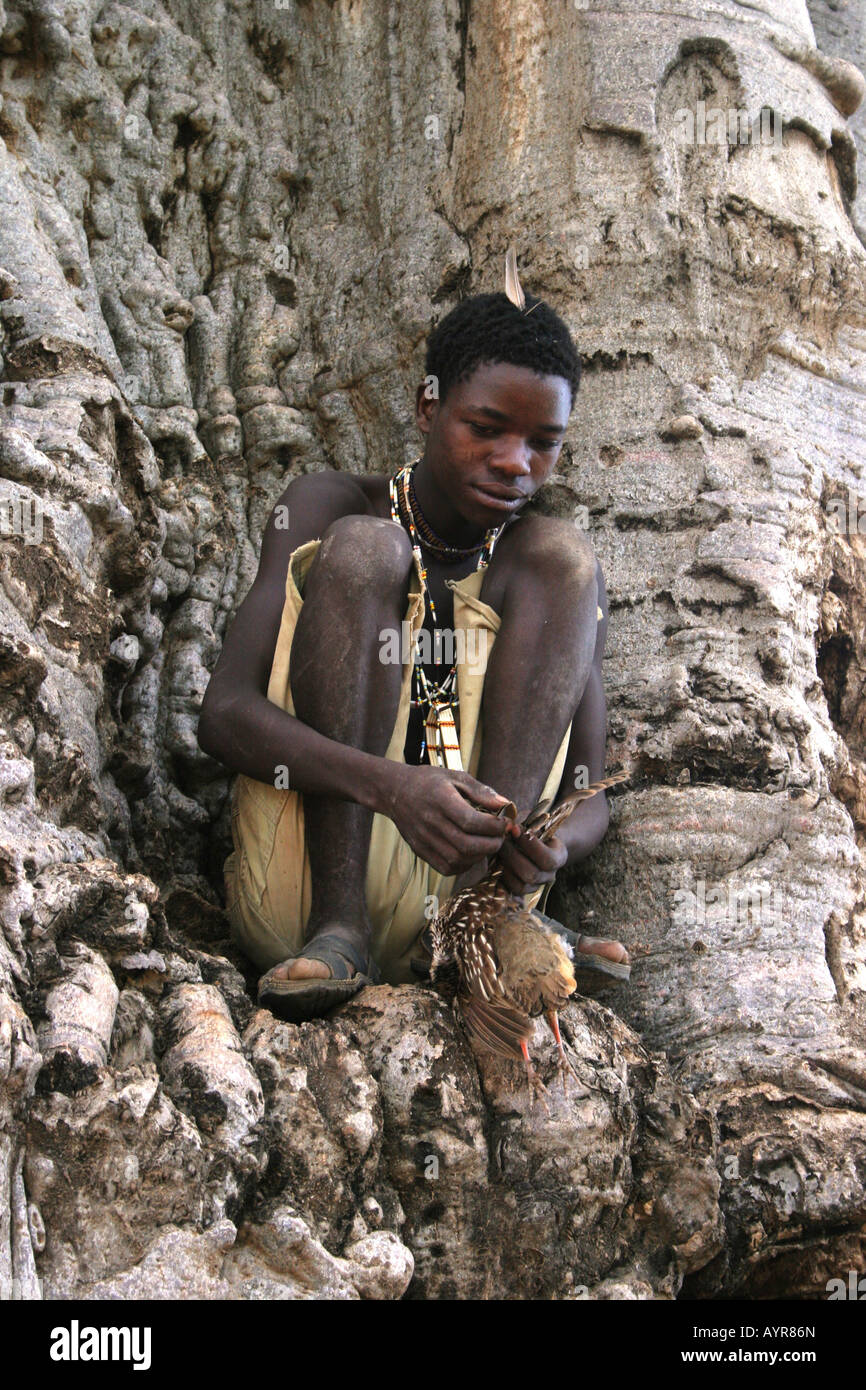 Africa bird pluck hi-res stock photography and images - Alamy