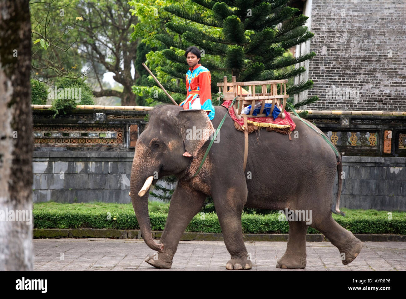 Elephant and mahout at The Imperial Citadel, Hue, Vietnam Stock Photo ...