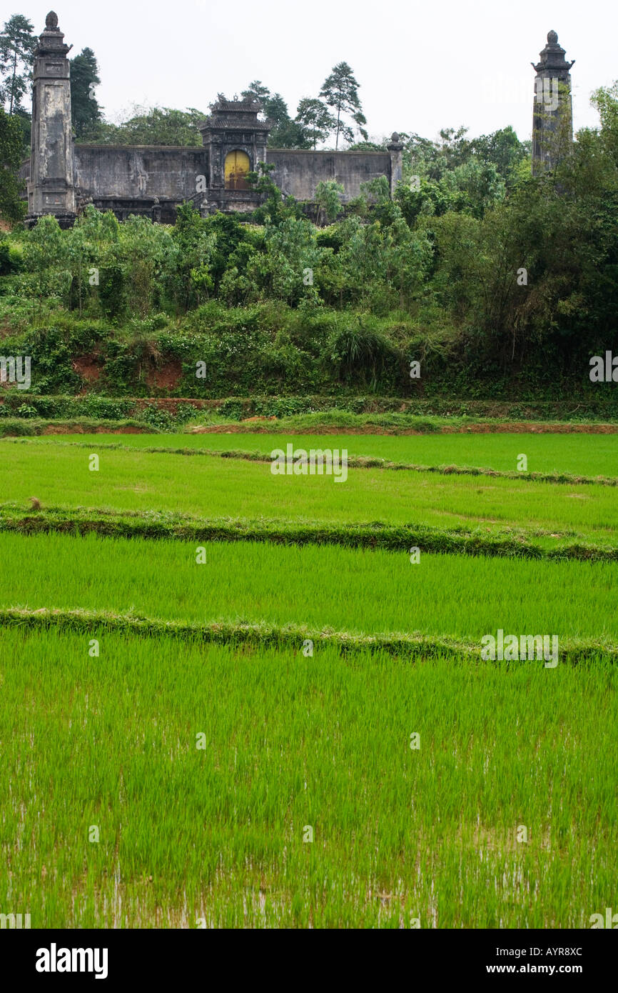 Ruins of ancient fortress overlooking paddy (rice field), Hue, Vietnam ...
