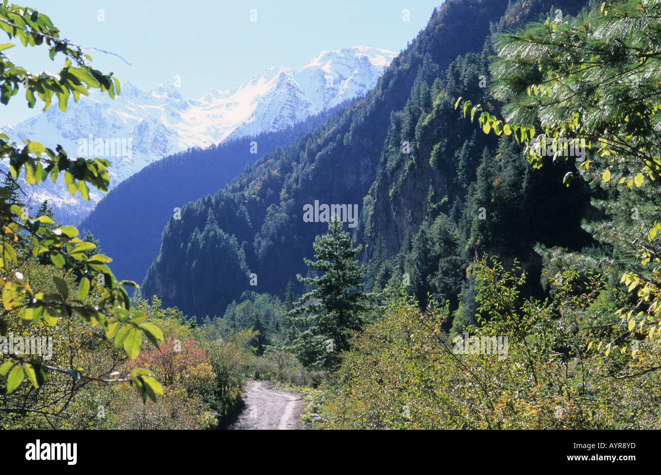 Marsyangdi river valley in Annapurna Conservation area Nepal Stock ...