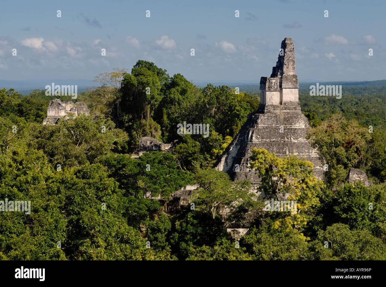 Mayan ruins of Tikal - view from Temple III to Temple I, Temple of the ...