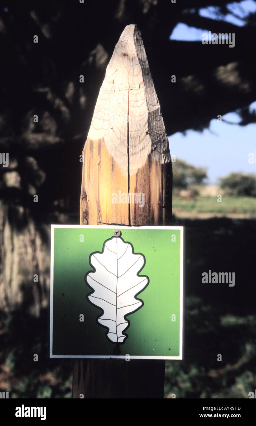 Tree specific hi-res stock photography and images - Alamy
