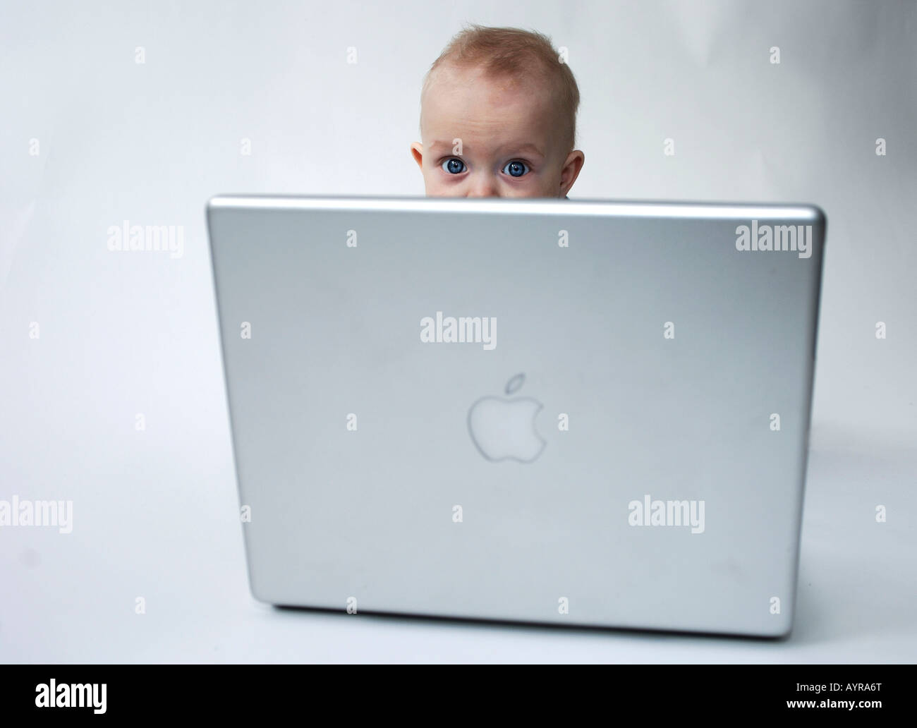 Six month old baby boy working on a laptop computer Stock Photo - Alamy