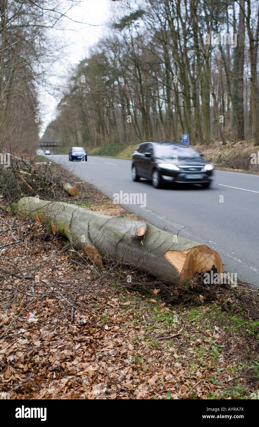 Road tree a side hi-res stock photography and images - Alamy