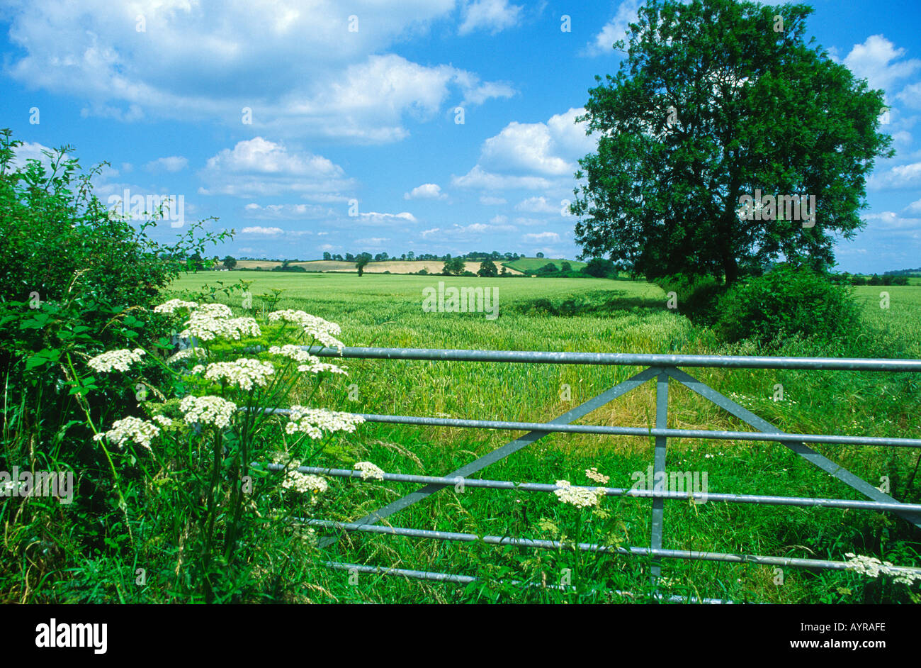 Rustic gateway hi-res stock photography and images - Alamy