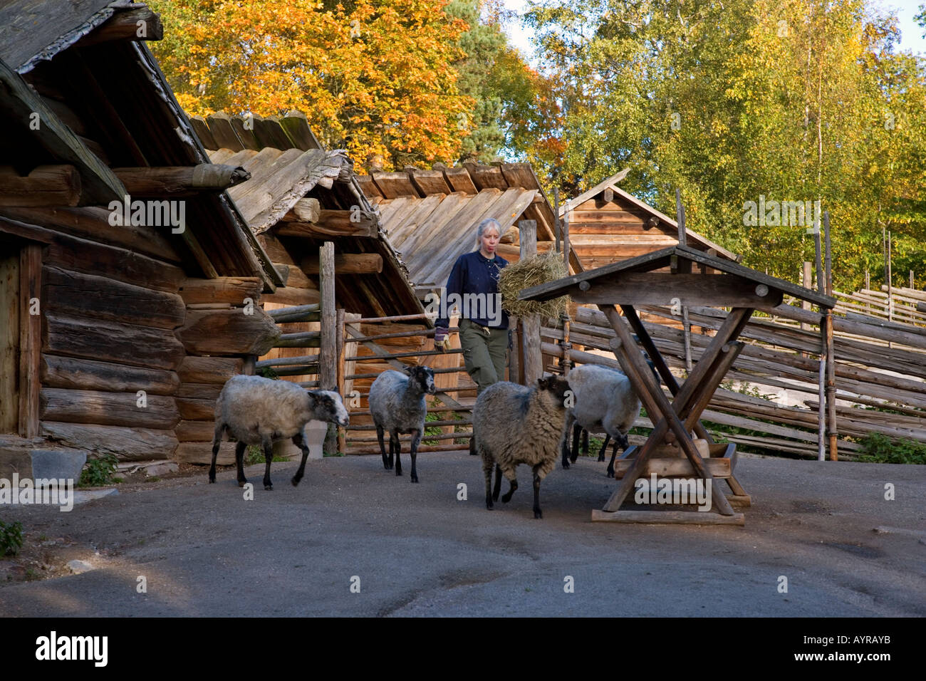 Farm at Skansen Stock Photo - Alamy