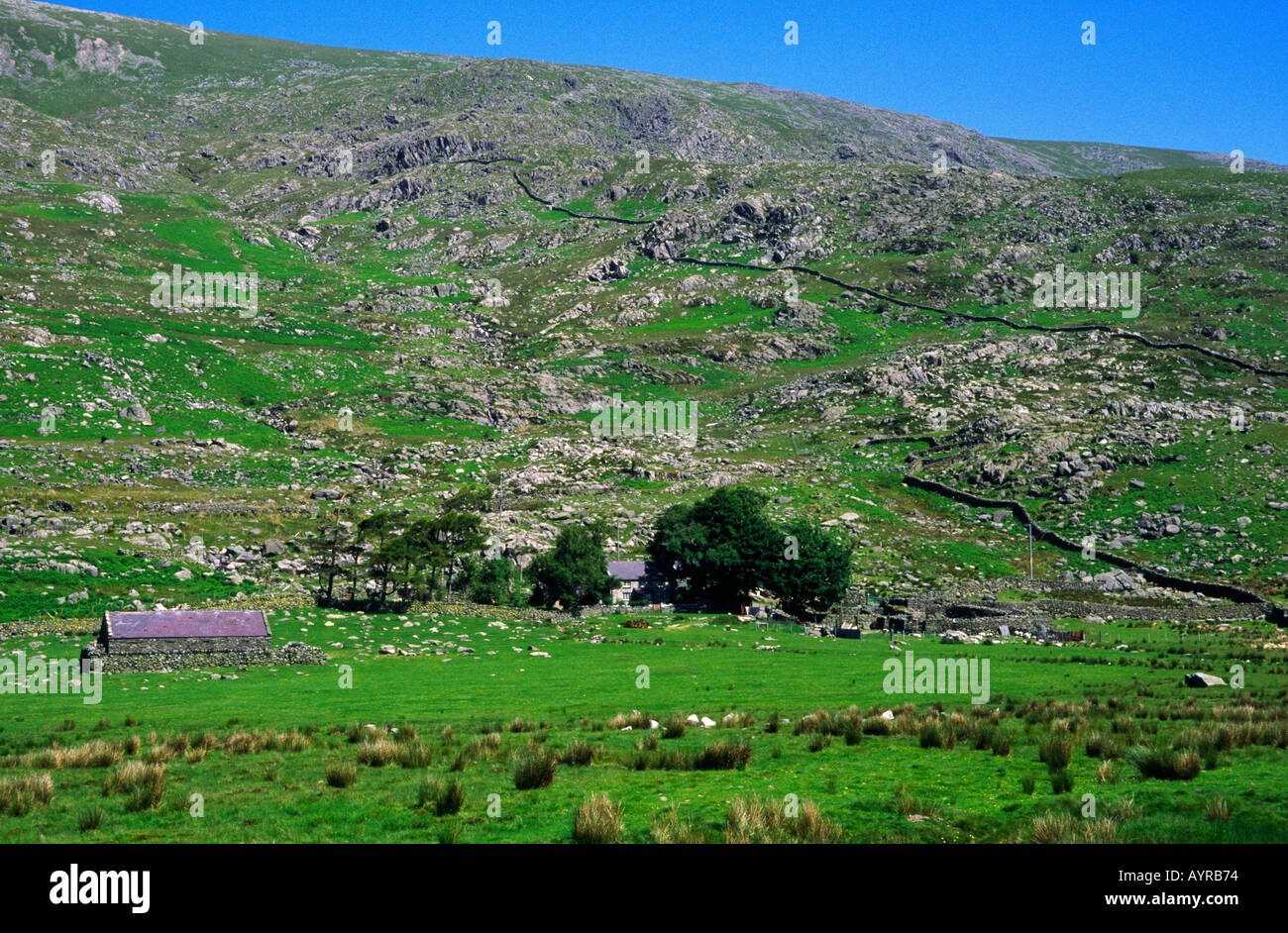 Isolated hill farm Gwynedd North Wales Stock Photo - Alamy