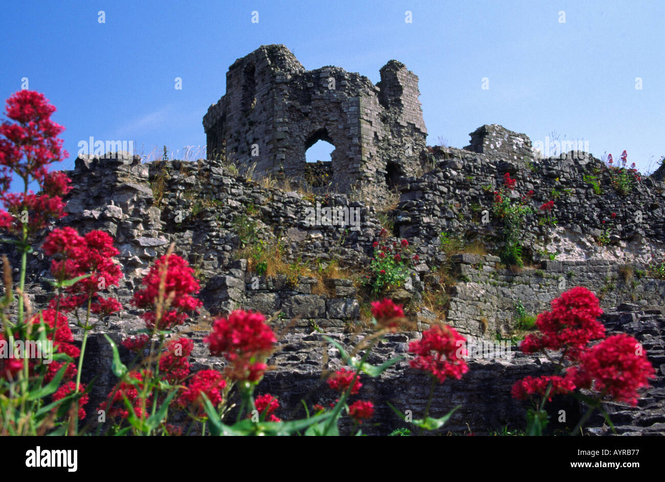 Ruined remains of 13th century castle Denbigh Clwyd North Wales Stock ...