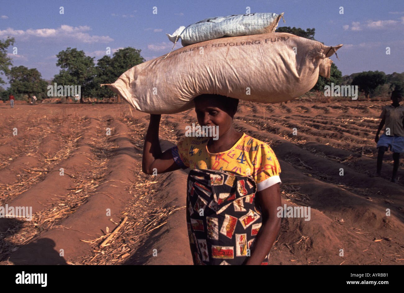 Malawi Seed and fertilizer distribution in Malawi Africa Stock Photo ...