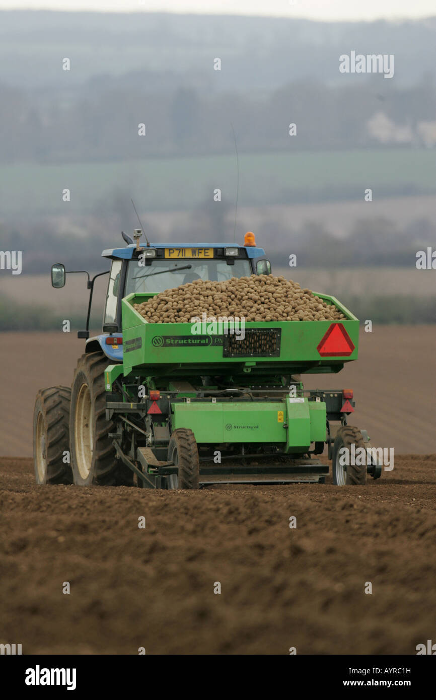 Potato planting uk farm hi-res stock photography and images - Alamy