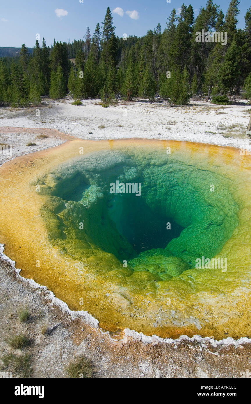 Morning Glory Pool in Upper Geyser Basin, Yellowstone National Park ...