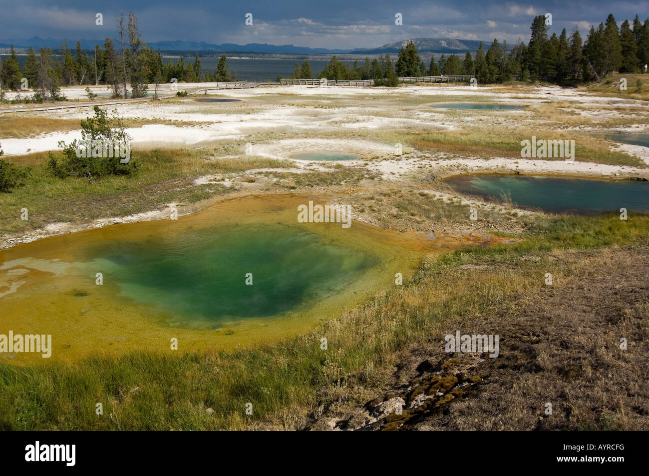 View over West Thumb Geyser Basin in Yellowstone National Park ...