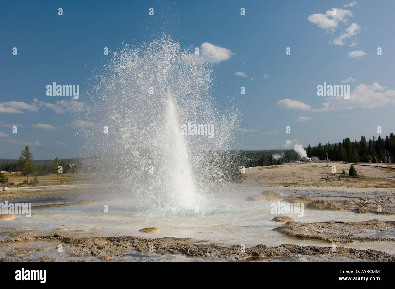 Daisy Geyser in Upper Geyser Basin, Yellowstone National Park, Wyoming ...