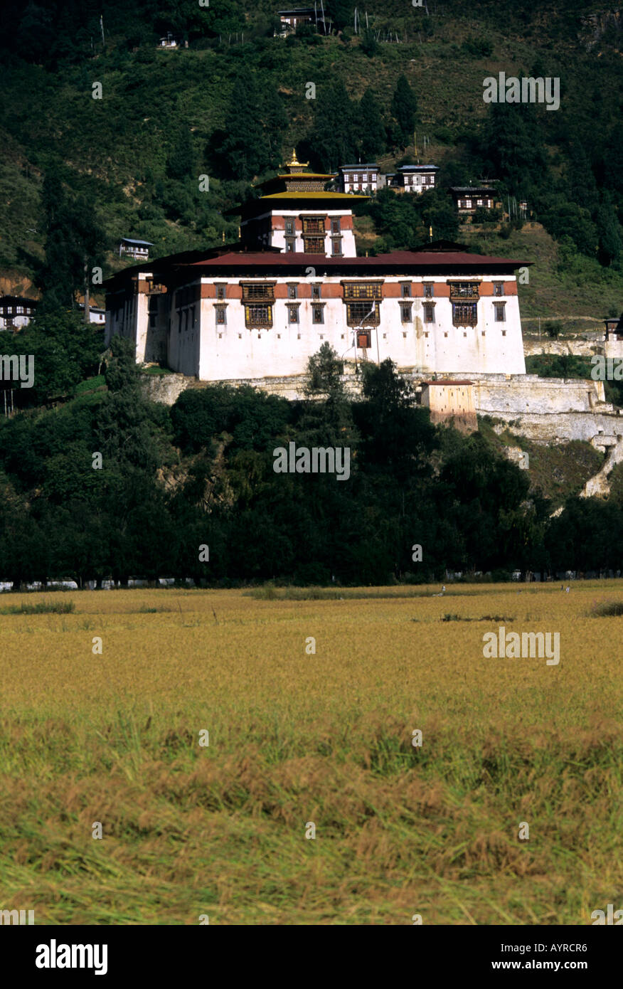 Rinpung Dzong, also known as Paro Dzong, the massive fortress which is ...