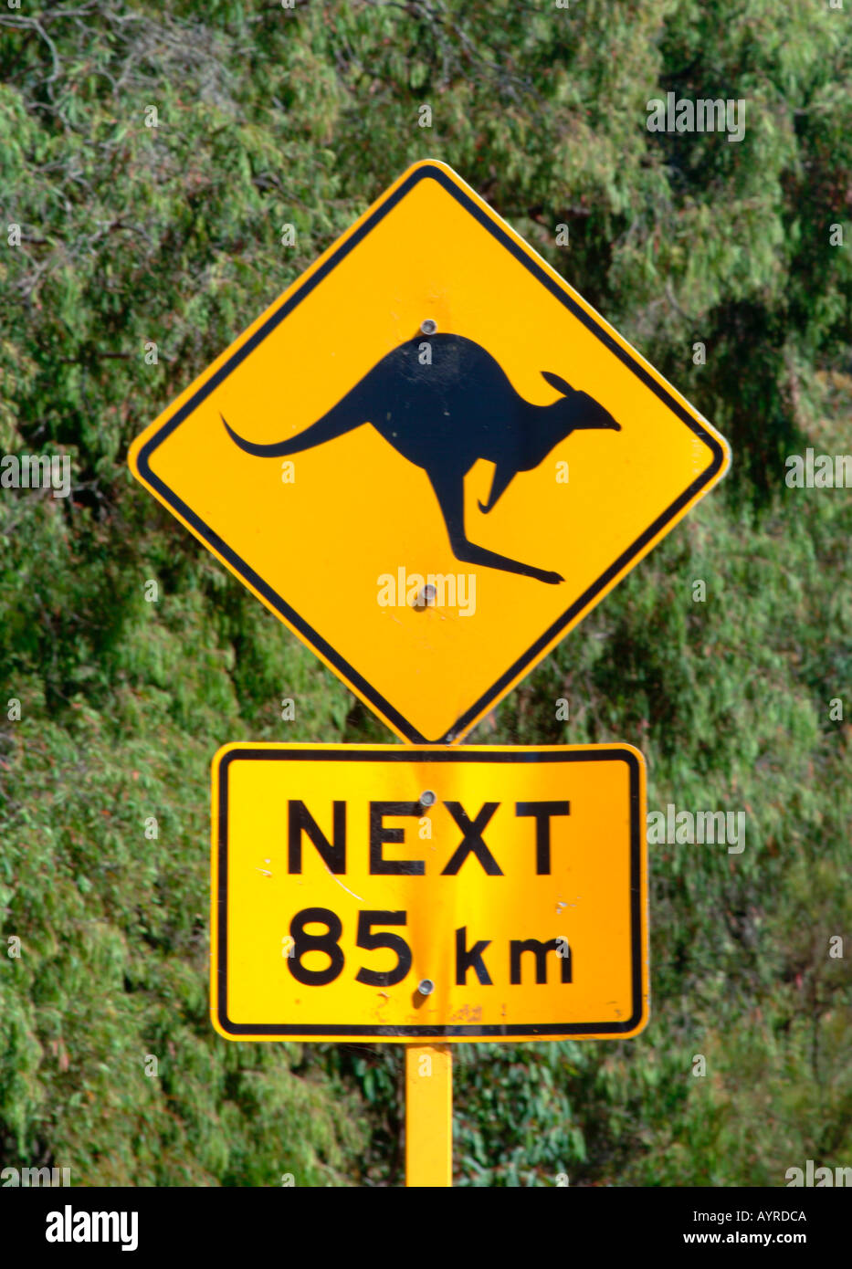 Kangaroo sign Western Australia Stock Photo - Alamy