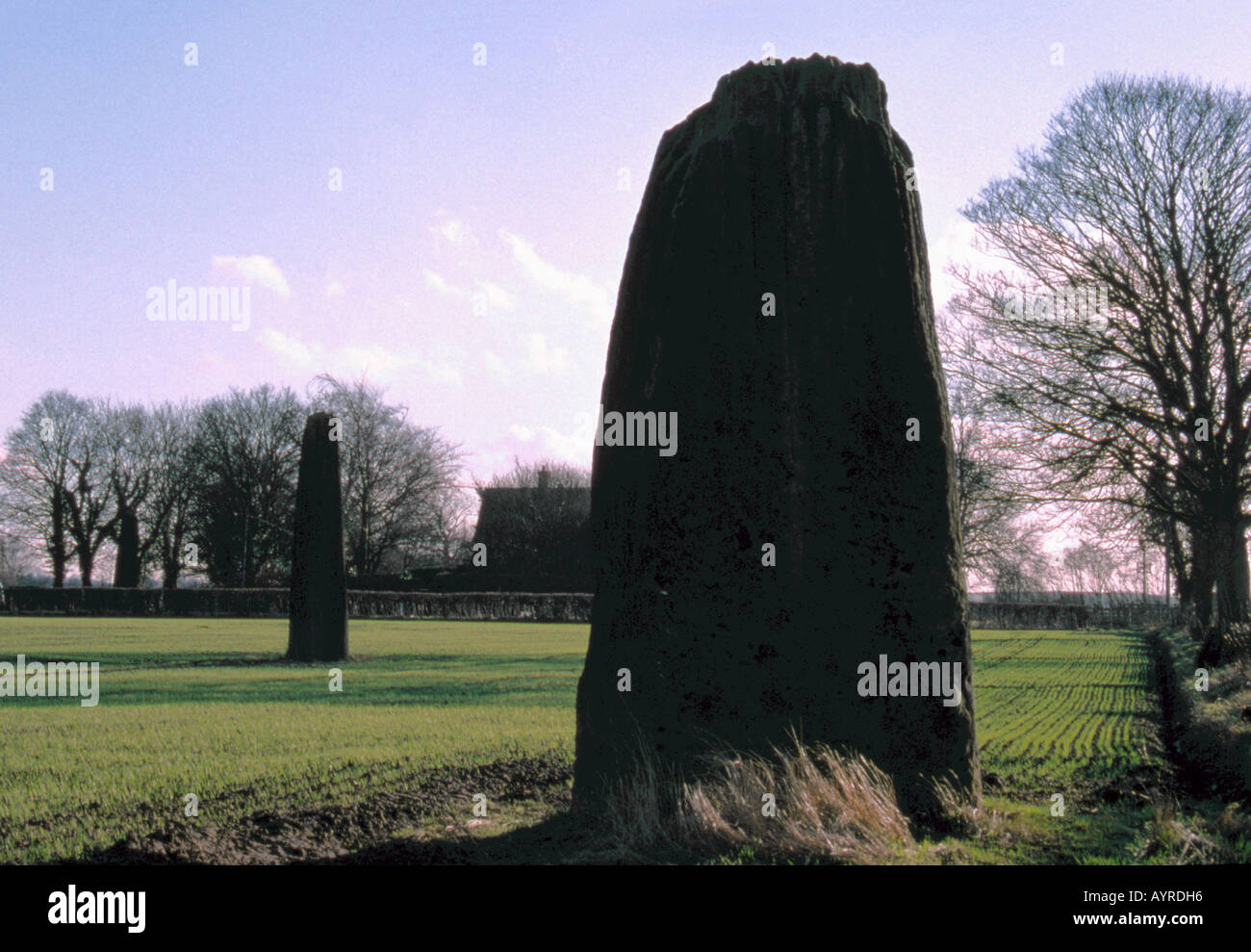 Two of three of the Devil's Arrows (Bronze Age monoliths ...