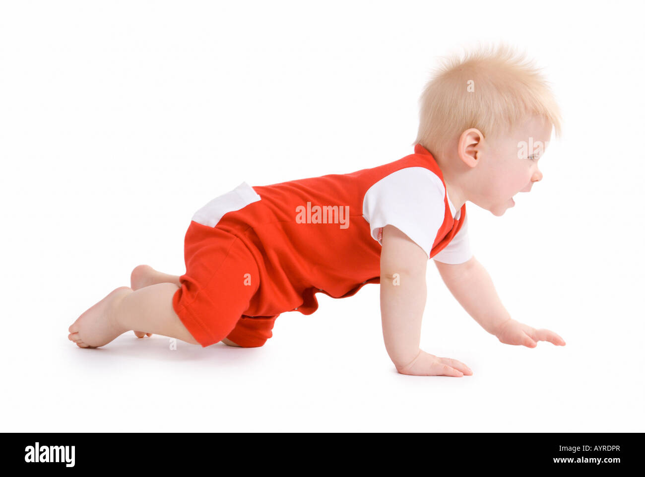 Little boy at the age of 7 months Stock Photo - Alamy