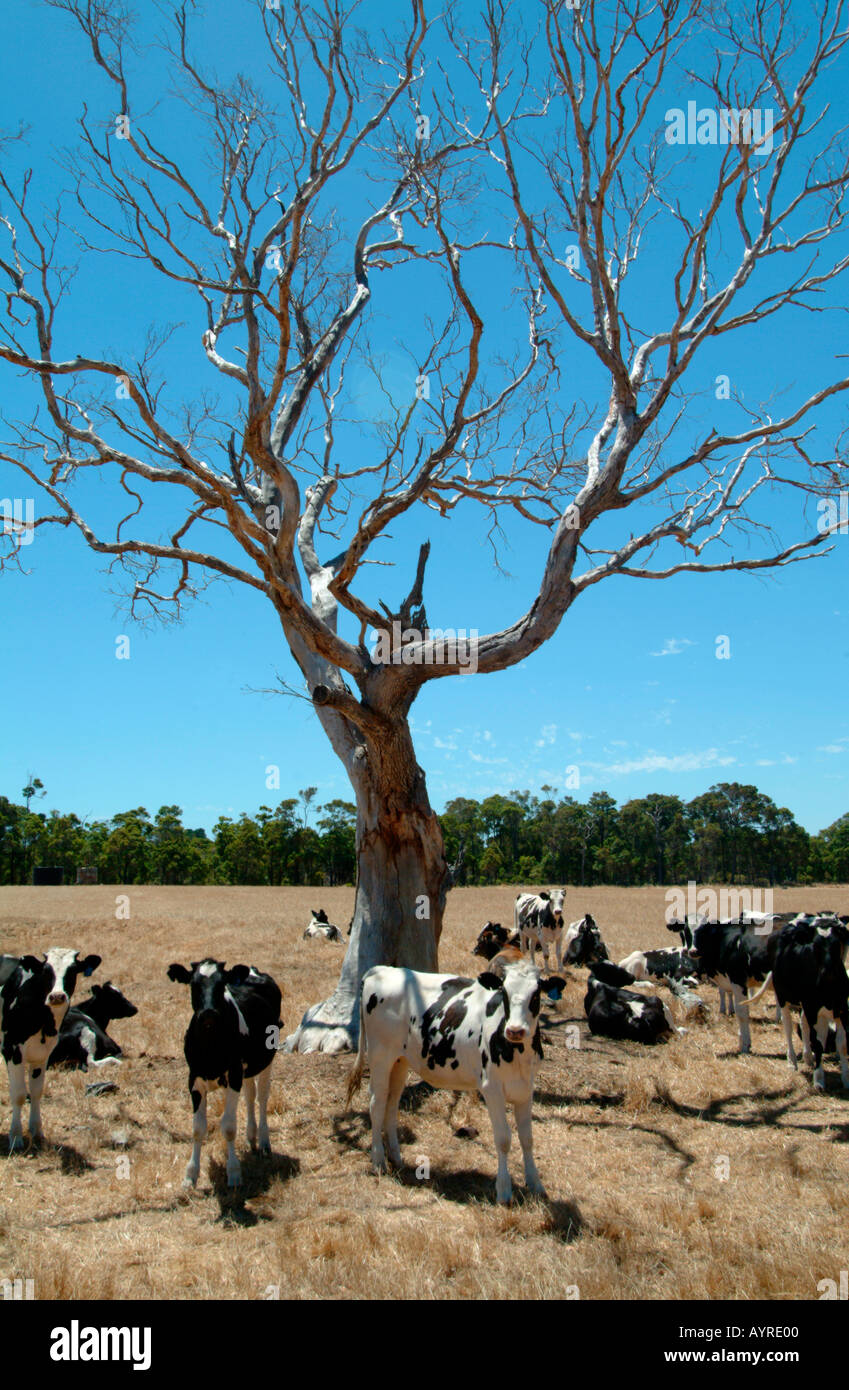 Wa stock hi-res stock photography and images - Alamy