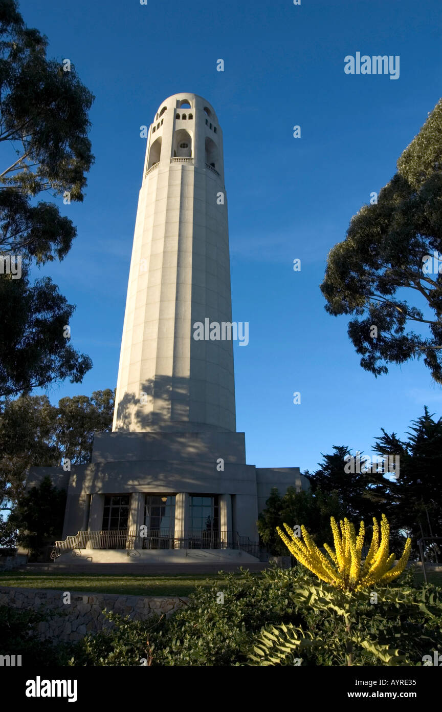 THE COIT TOWER AT SUNSET SAN FRANCISCO CALIFORNIA UNITED STATES OF ...