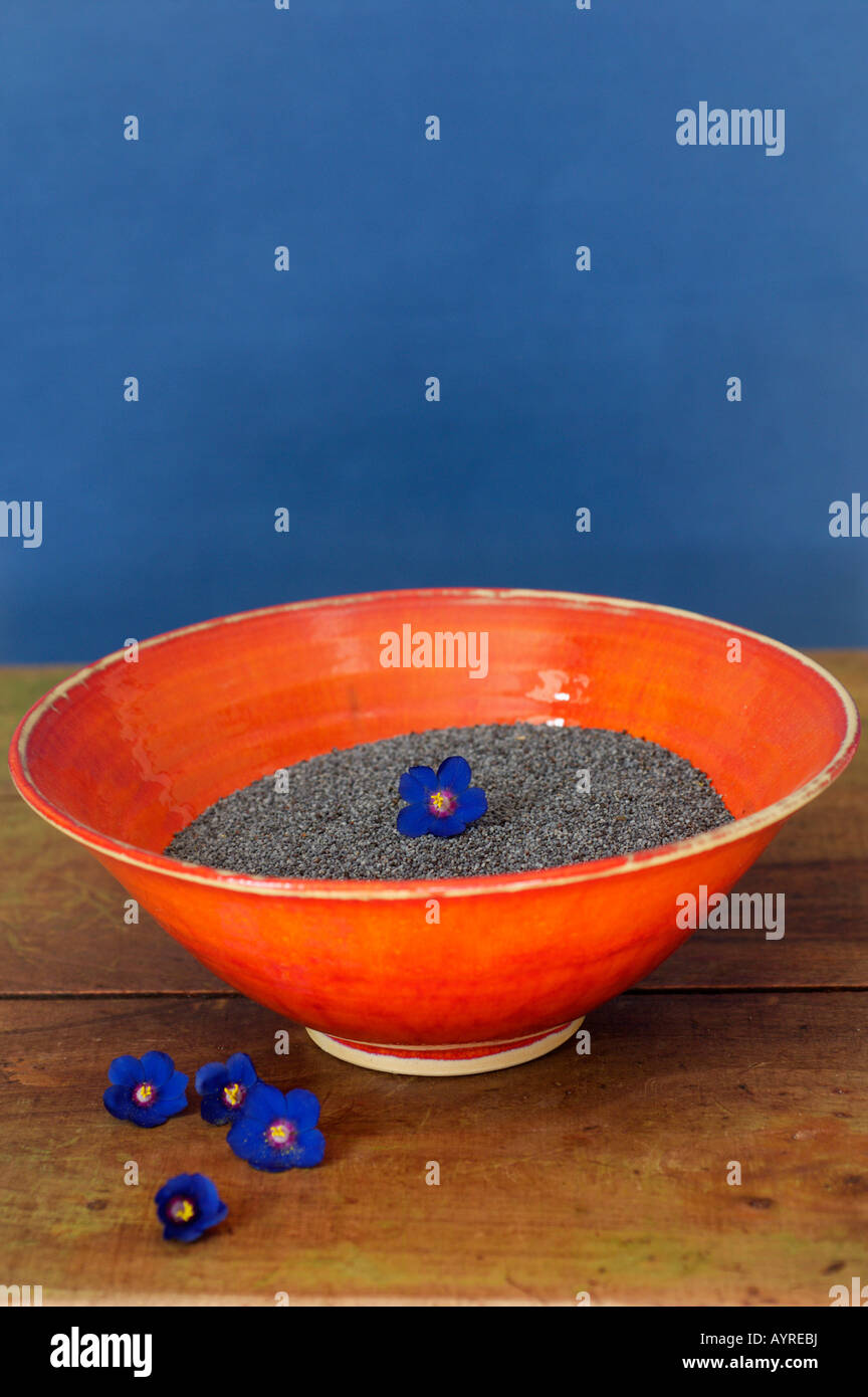 Poppy seeds in a dish Stock Photo - Alamy