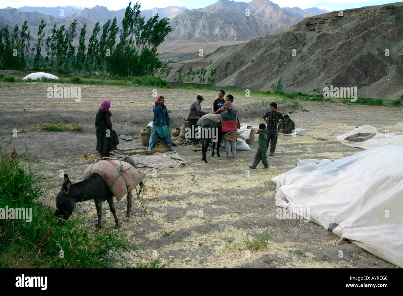 Alchi village hi-res stock photography and images - Alamy