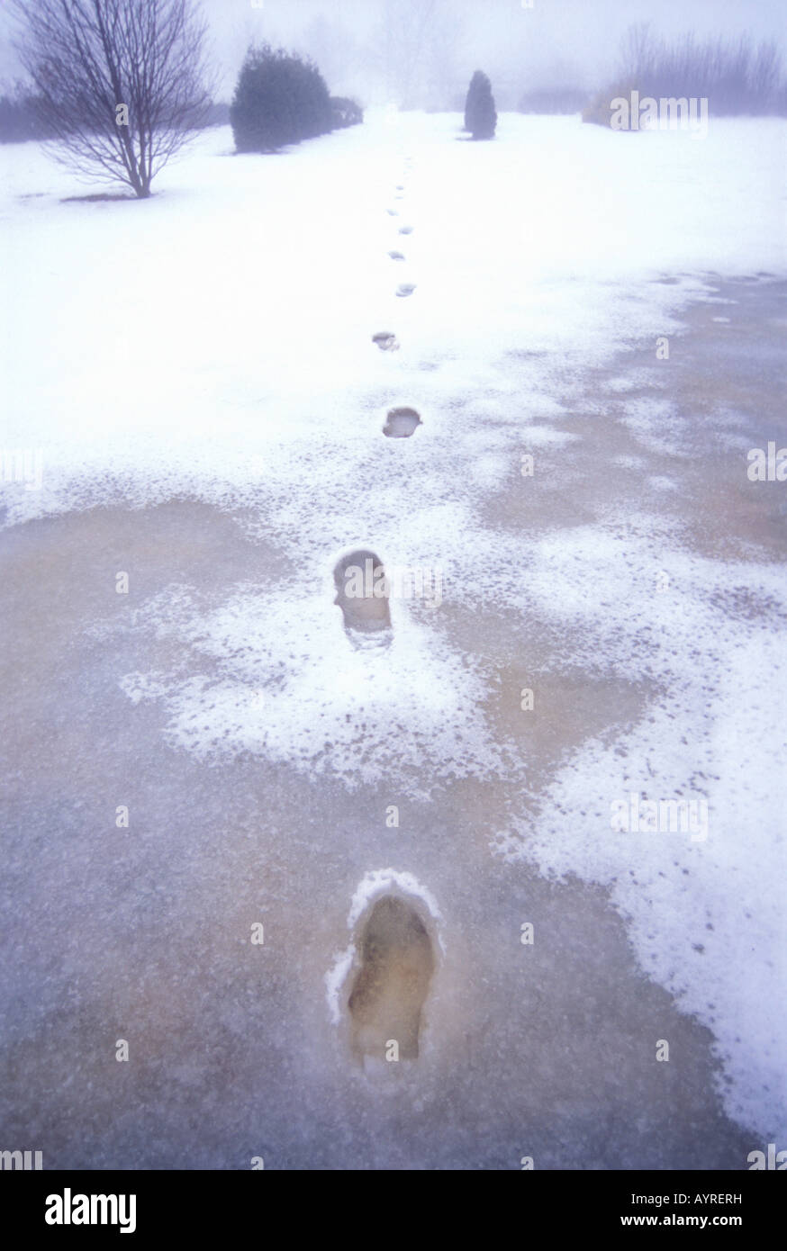 Icey footsteps hi-res stock photography and images - Alamy