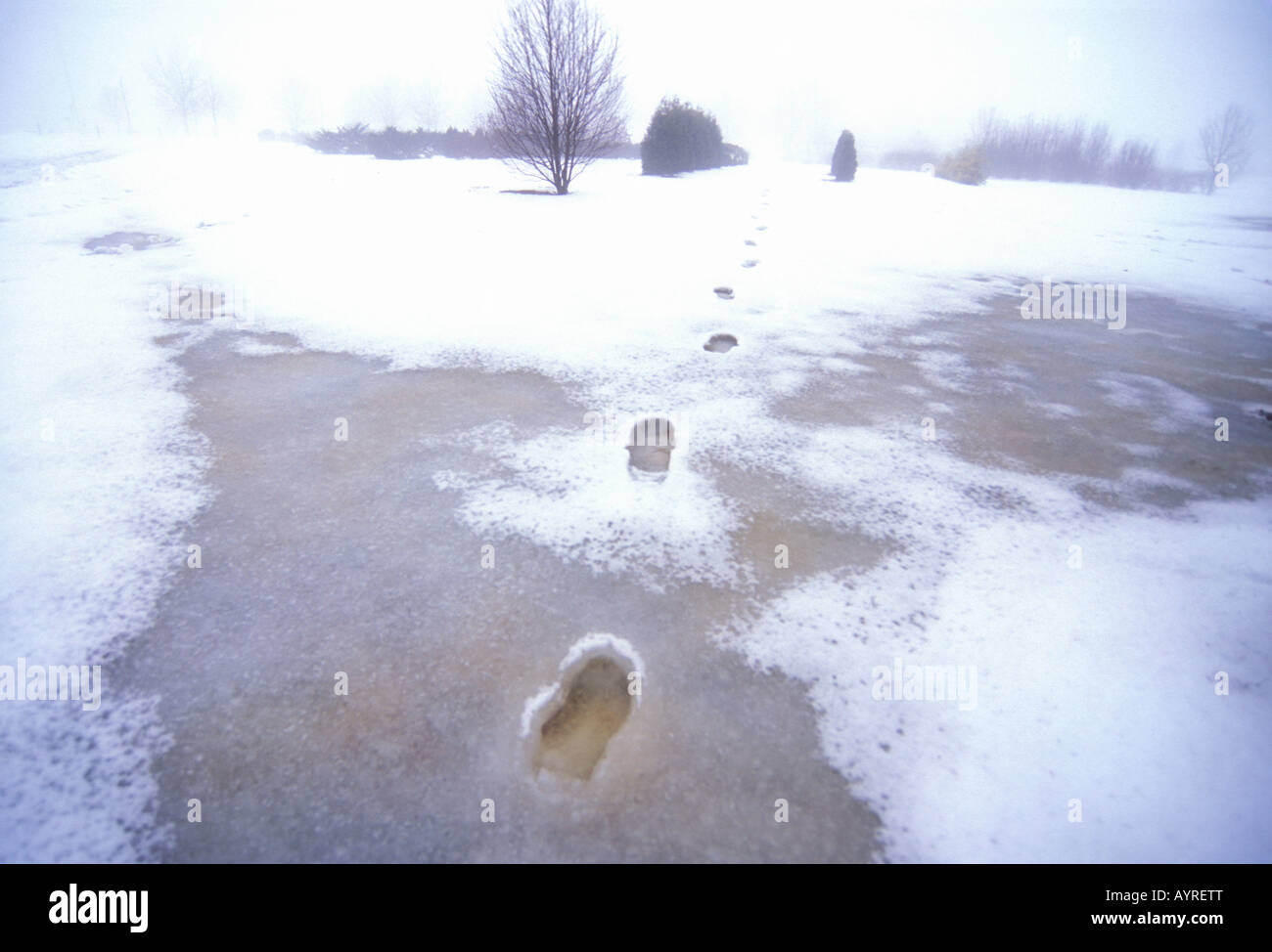 Icey footsteps hi-res stock photography and images - Alamy