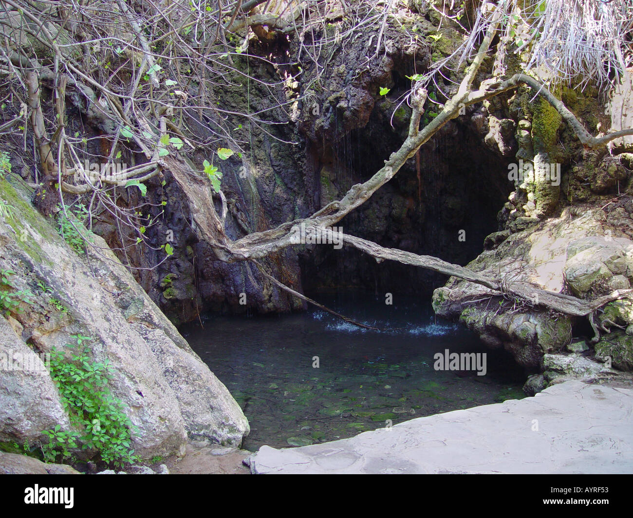 Aphrodite Bath by Polis Cyprus Stock Photo - Alamy