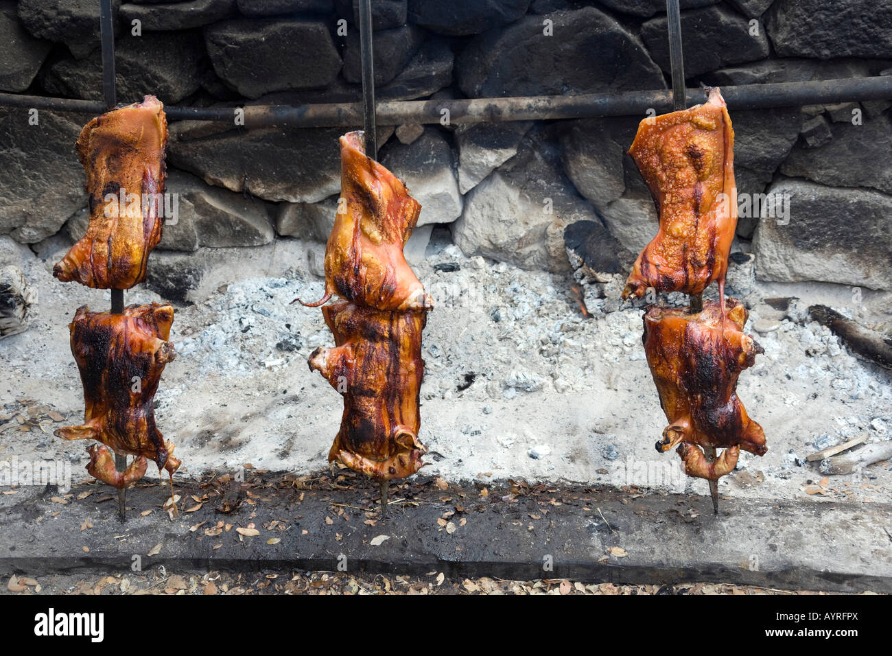 Three suckling pigs on spits roasted over an open fire, Sardinian ...