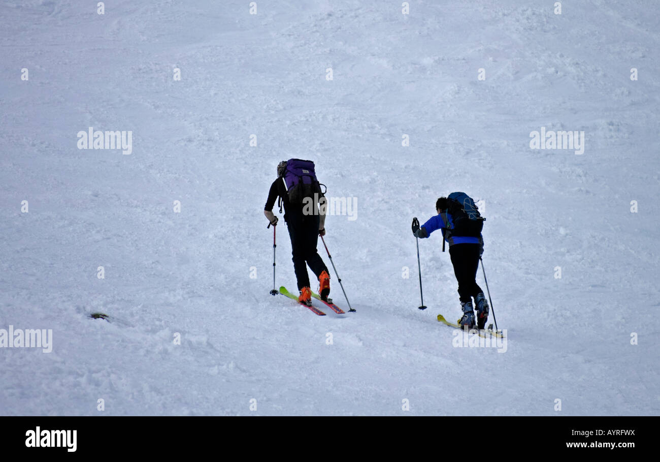 Skinning hi-res stock photography and images - Alamy