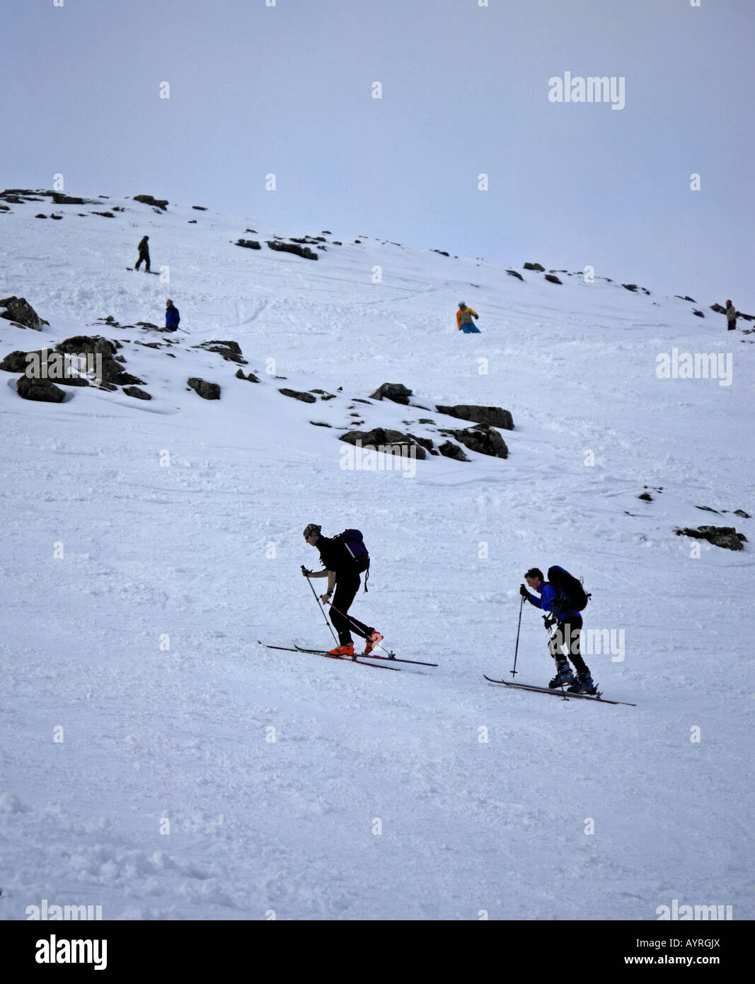 Skinning hi-res stock photography and images - Alamy