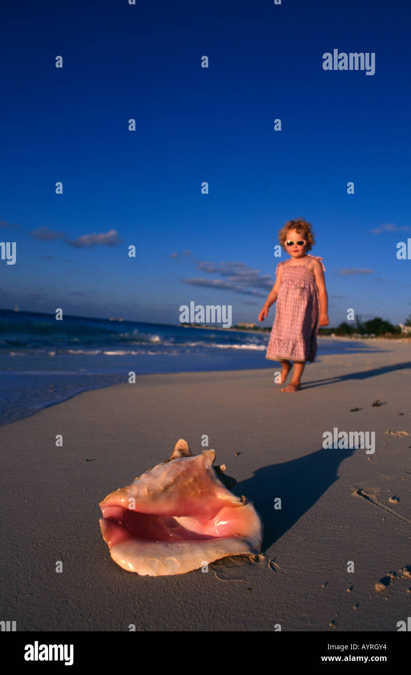 Conch shells providenciales turks caicos hi-res stock photography and ...