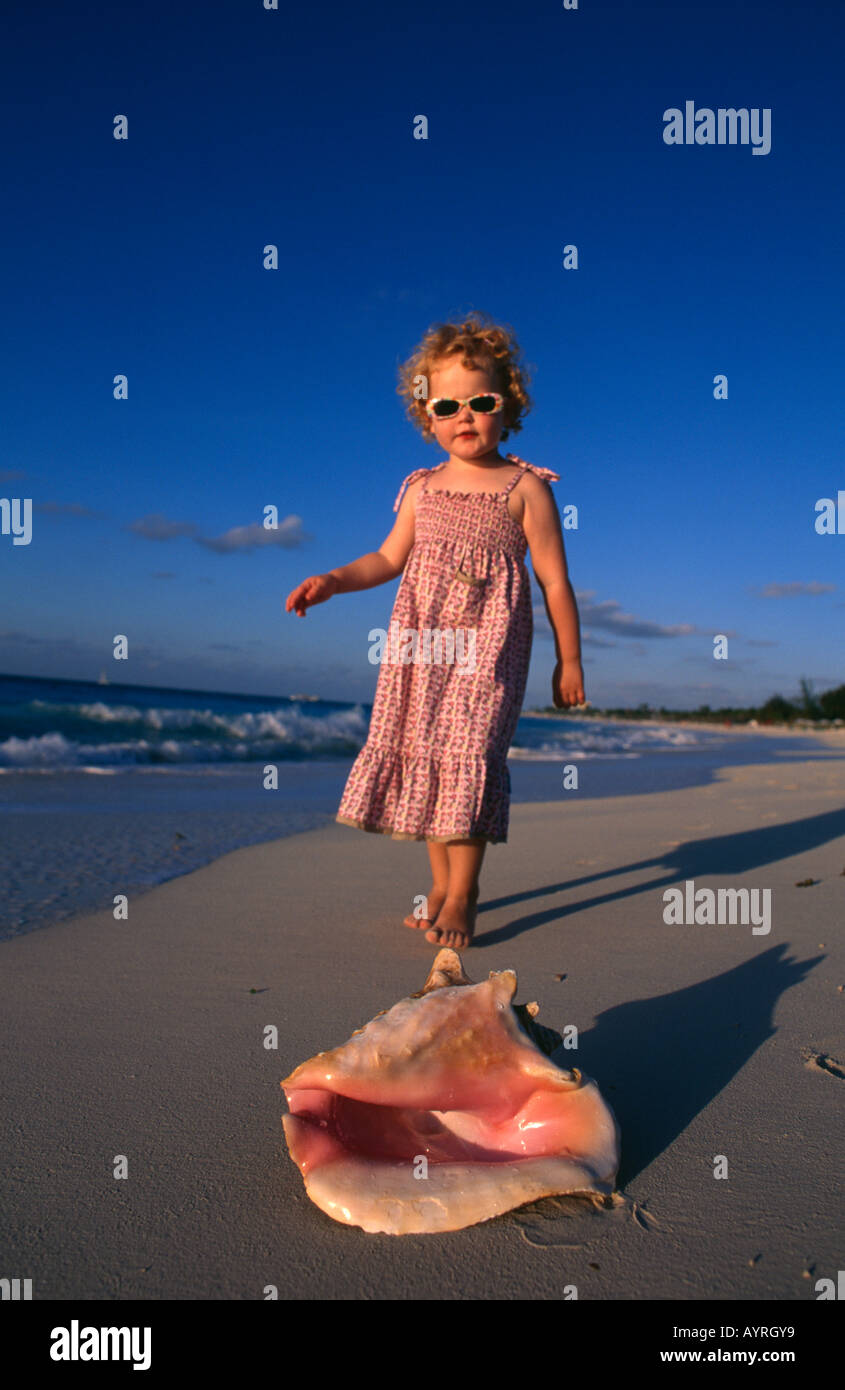 Conch shells providenciales turks caicos hi-res stock photography and ...