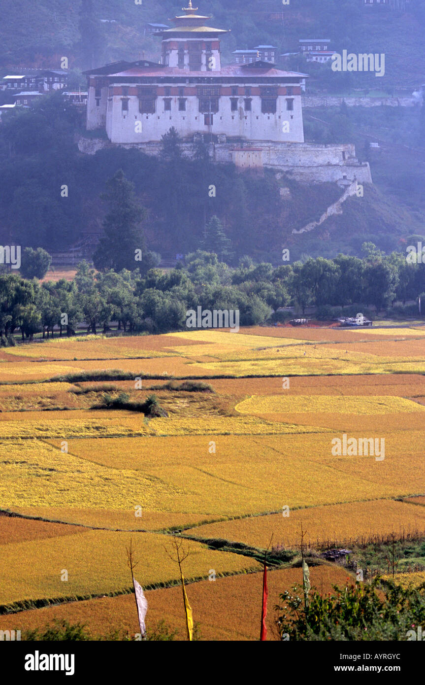 Rinpung Dzong, the massive fortress which is also the administrative ...