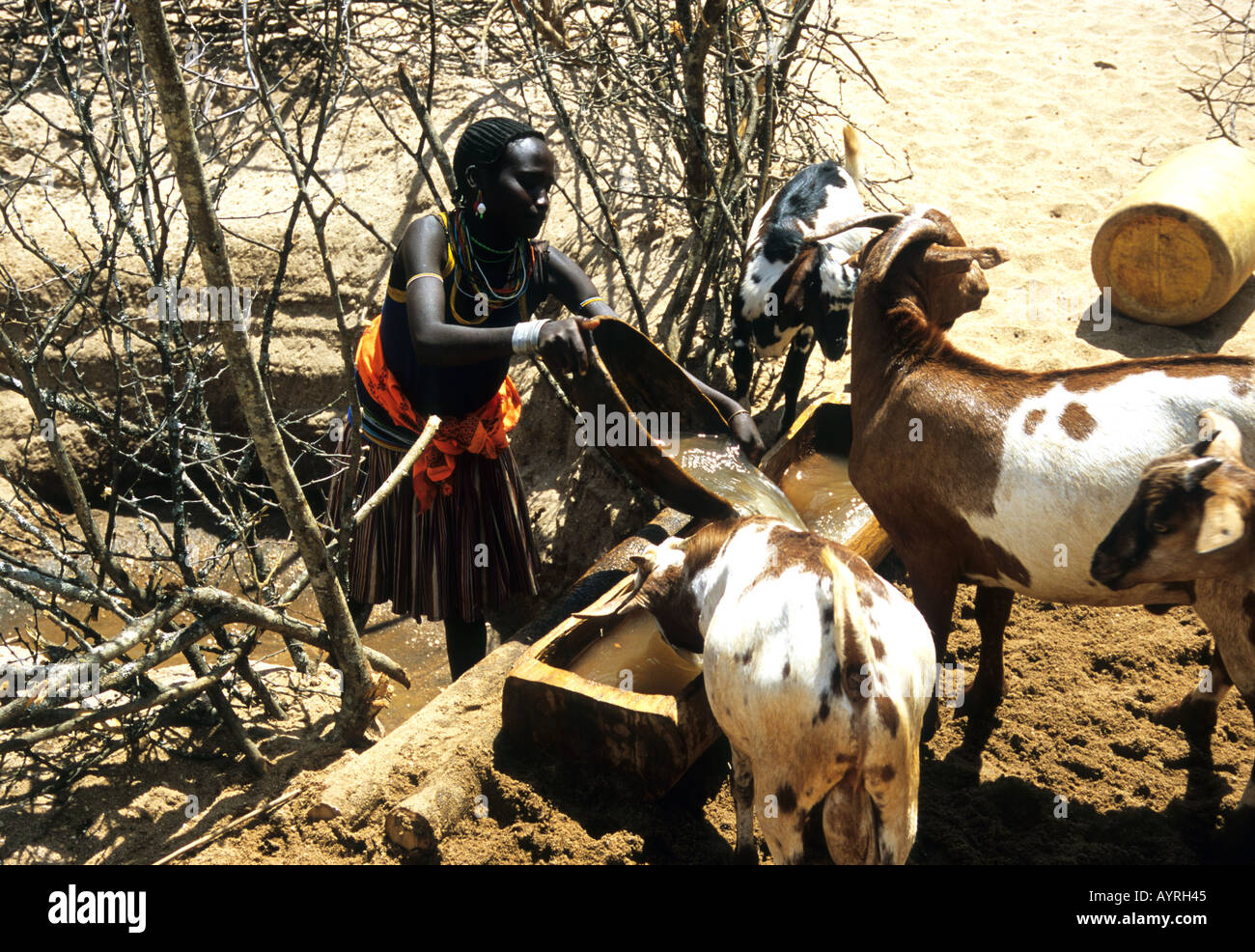Pokot girl lifting water out of well, West Pokot district, Kenya, East ... Pokot girl lifting water out of well, West Pokot district, Kenya, East ...