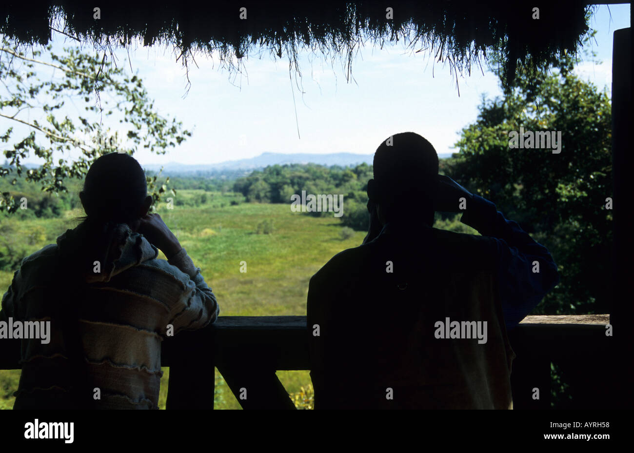 Saiwa Swamp National Park, Kenya East Africa Stock Photo - Alamy