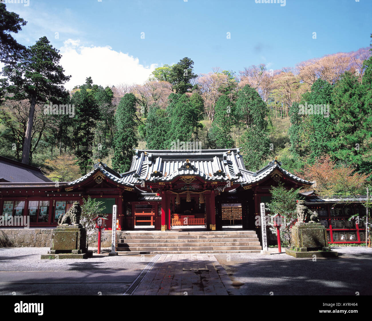 Asian Temple with Trees Stock Photo - Alamy