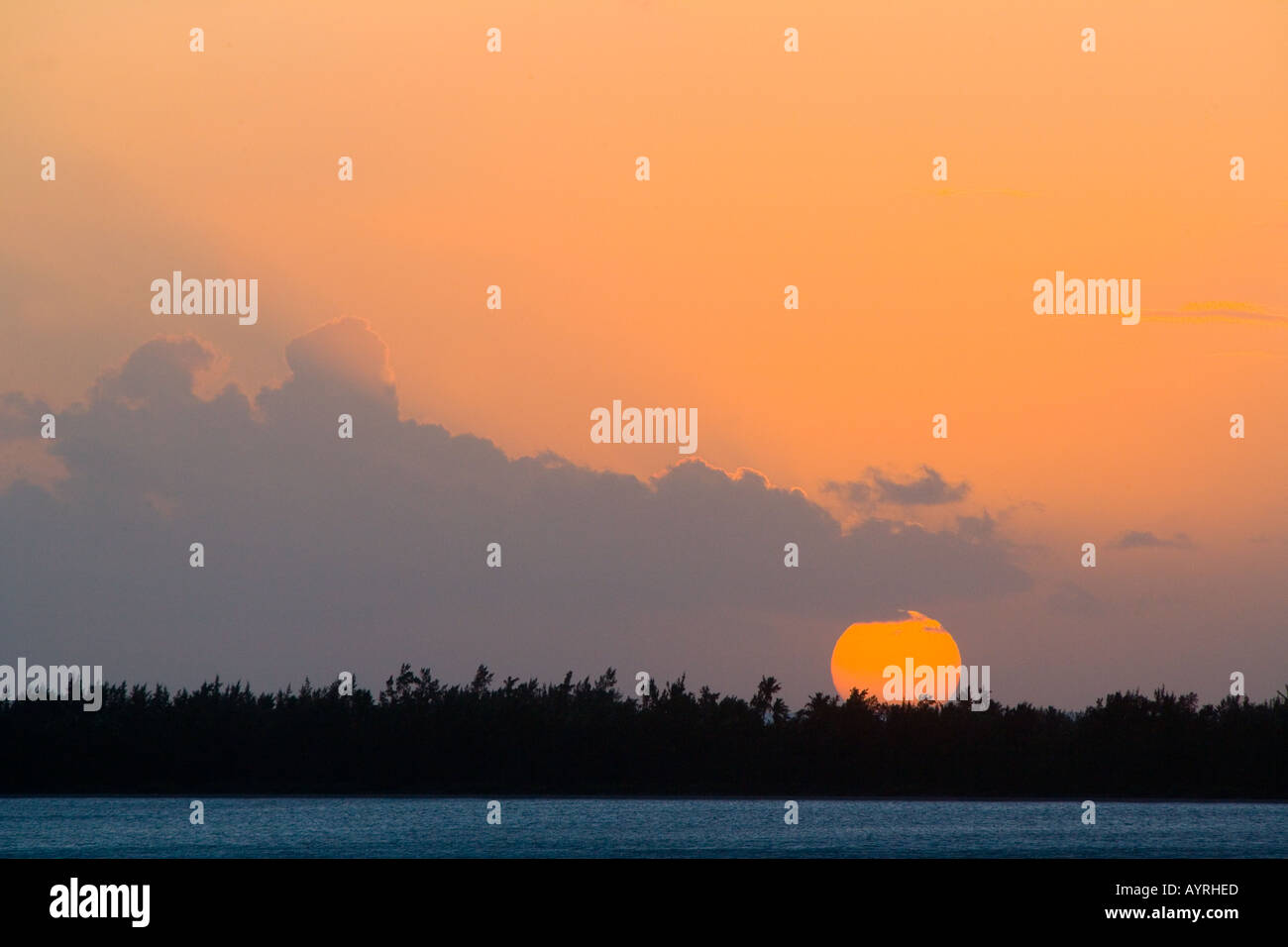 Glorious Sunset with sea and trees Stock Photo - Alamy