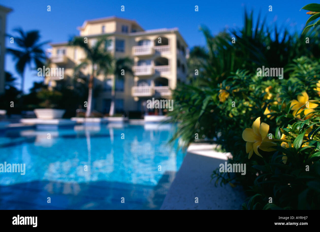 Swimming pool at the Grace Bay Club luxury hotel, Grace Bay, Turks ...