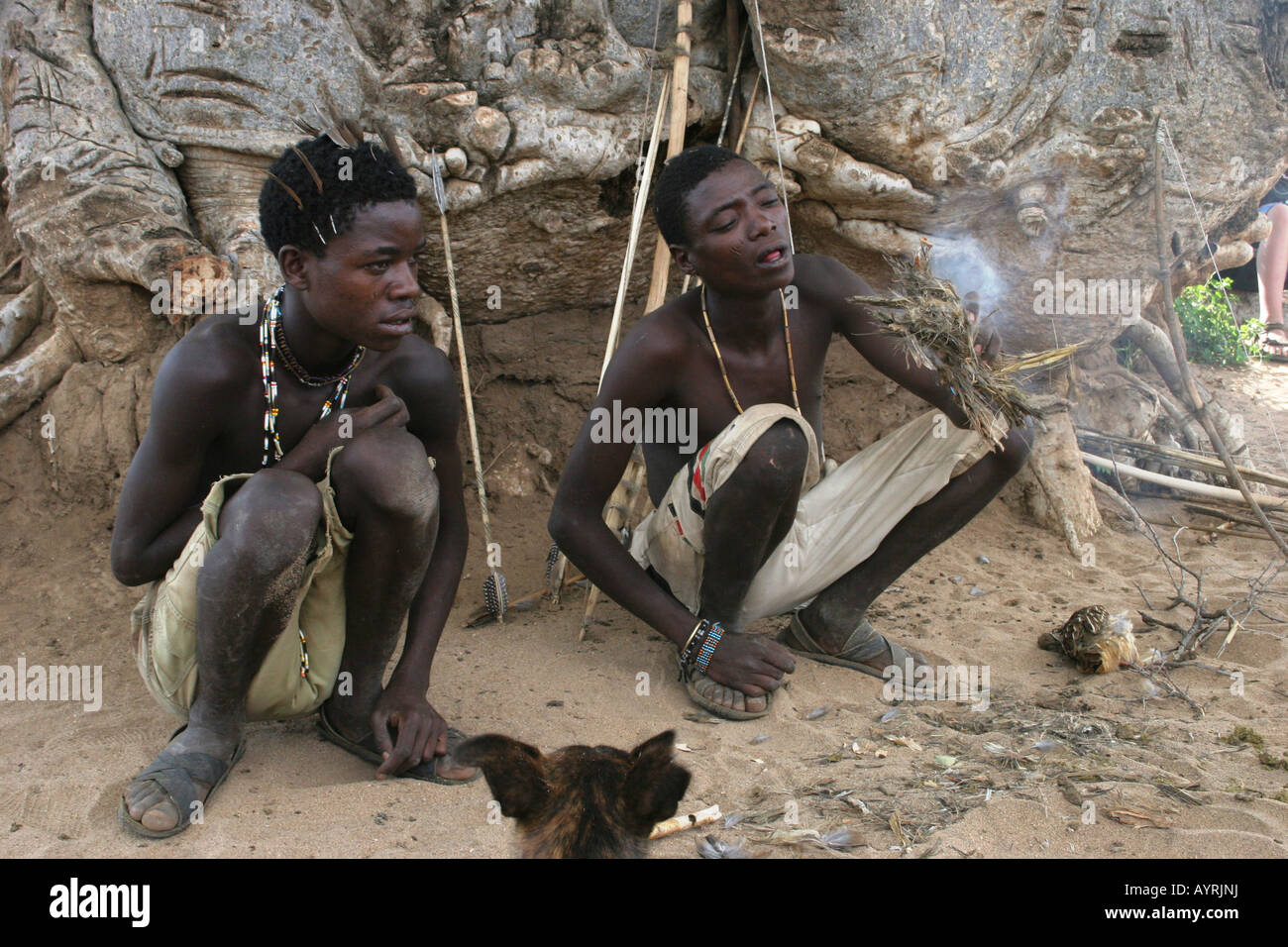 Member hadza tribe hunting arrow hi-res stock photography and images ...
